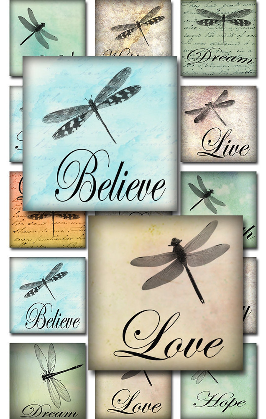 Dragonflies Ephemera Inspirational Words Watercolor Instant Download ...