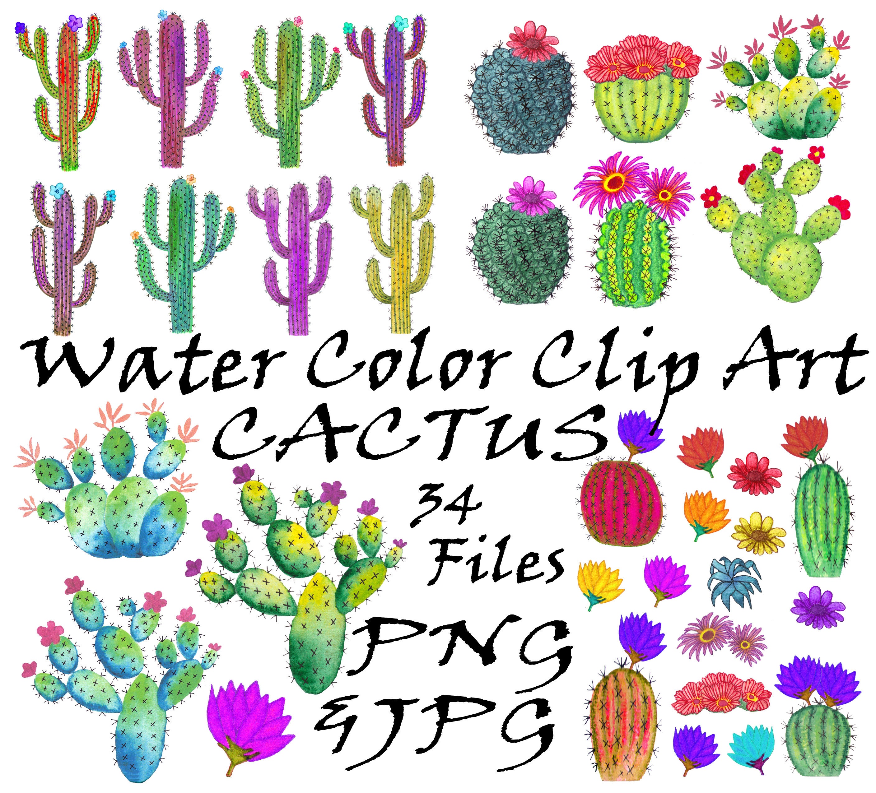 Watercolor Cactus Clip Art Hand Painted PNG Digital DIY | Etsy