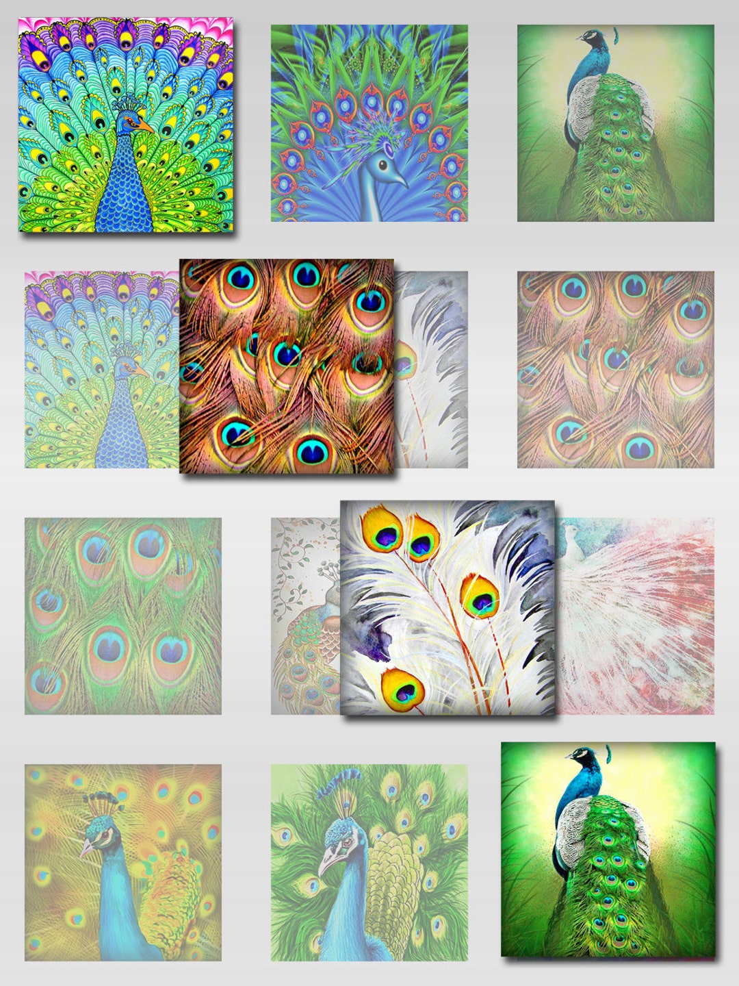 Peacock Square Instant Download 1 and 2 Inch Resin Glass Scrabble Tile ...