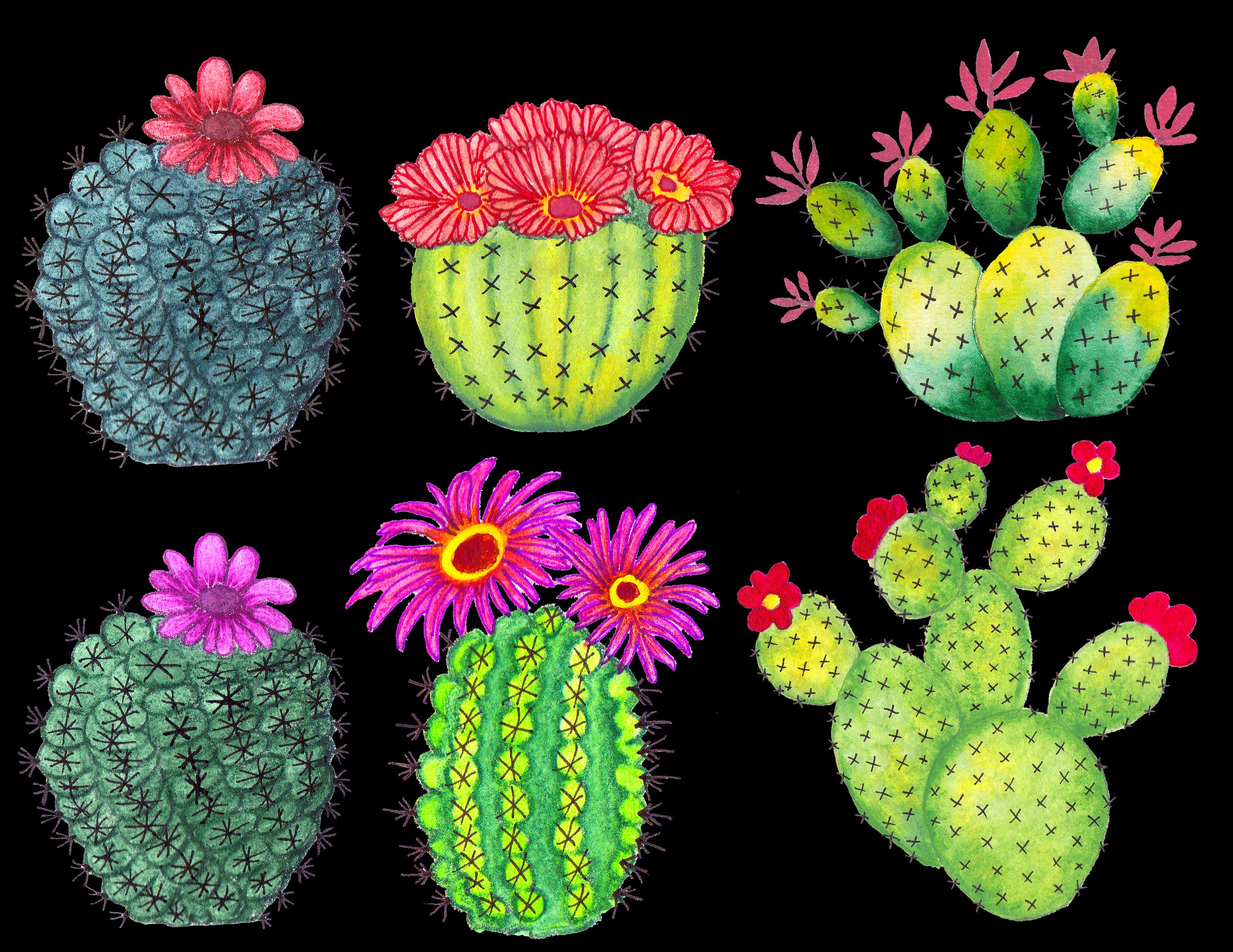 Watercolor Cactus Clip Art Hand Painted PNG Digital DIY | Etsy