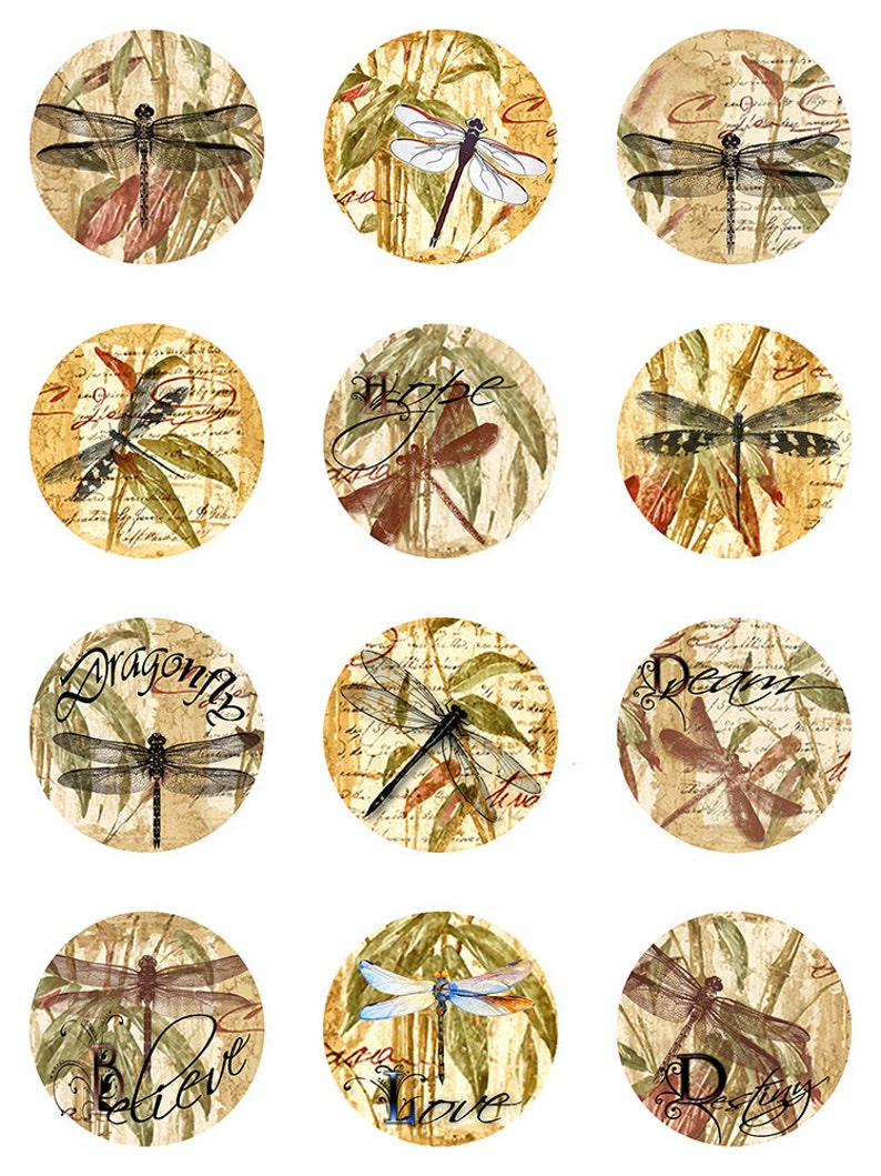 Dragonfly Ephemera Bamboo Instant Download 1 and 2 Inch Round Circle ...