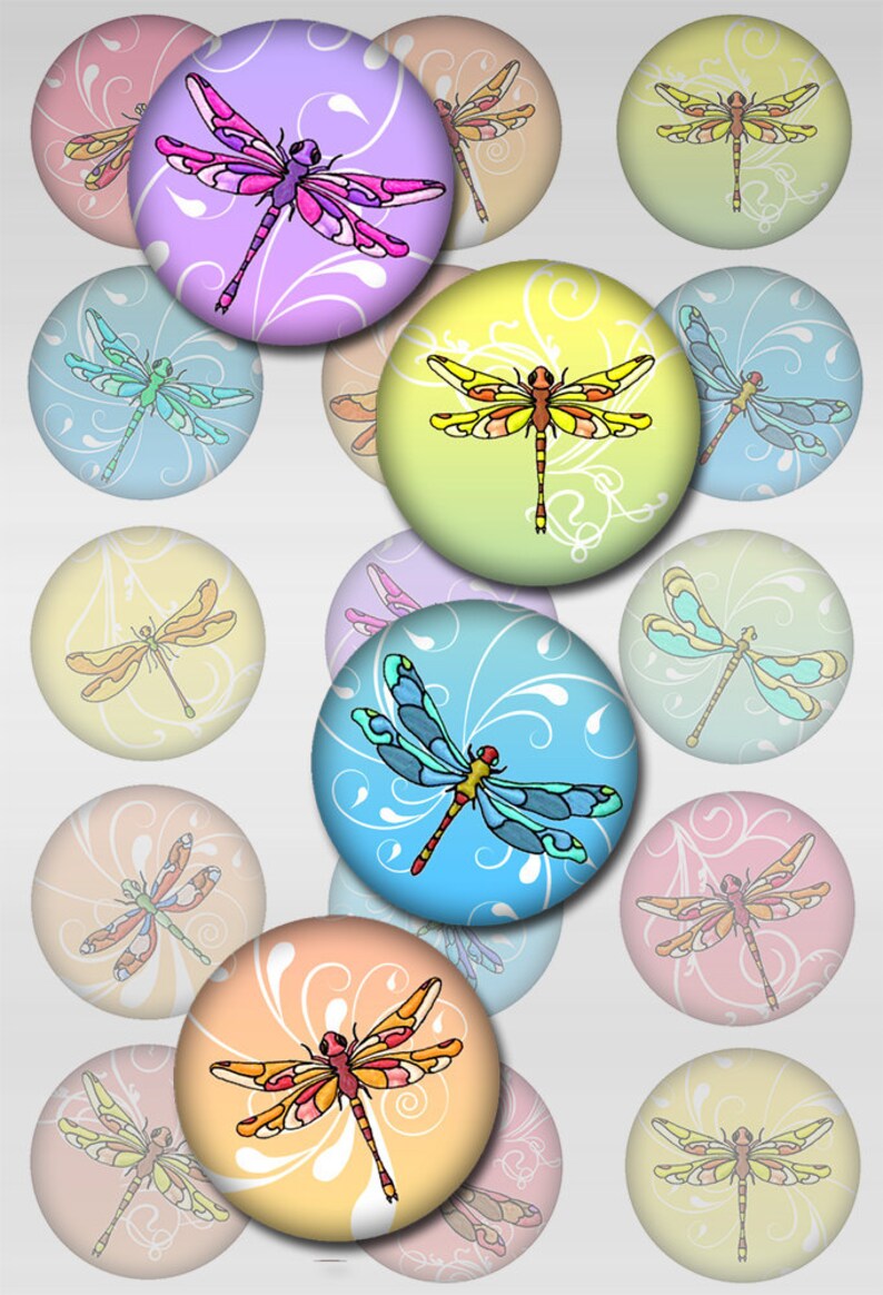 Dragonfly Round Circle Pastel Colors White Swirls Instant Download ...