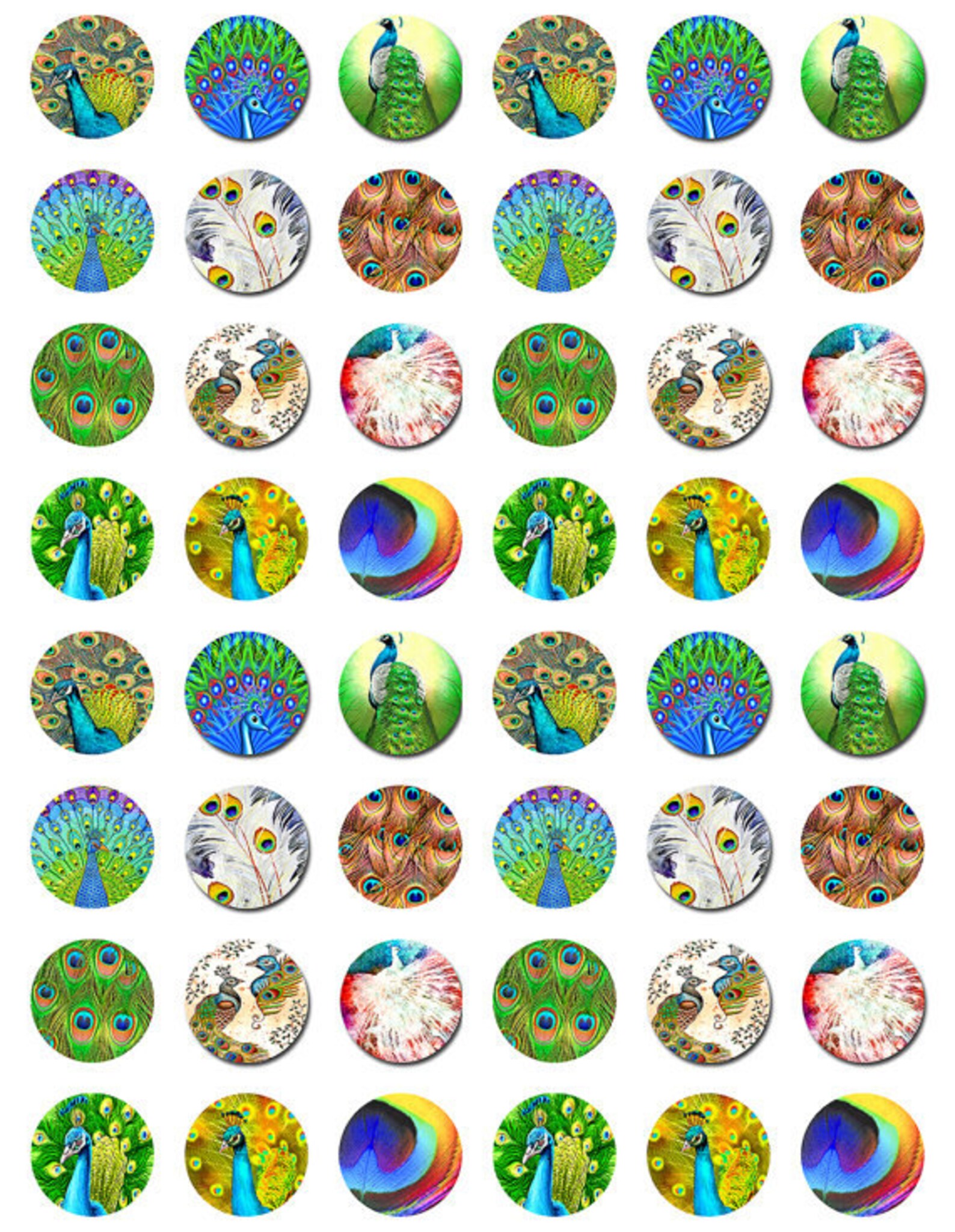 Peacocks Round Circle Instant Download for Glass Resin - Etsy