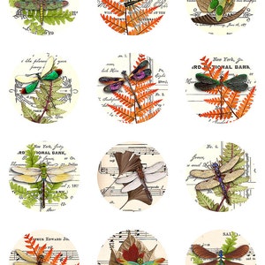 Dragonfly Vintage Ephemera Botanical Instant Download Round 1,2 Inch ...