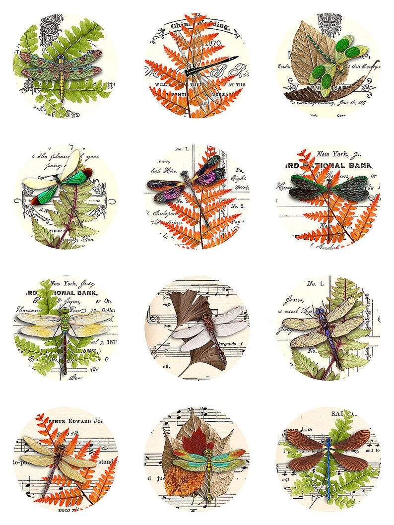 Dragonfly Vintage Ephemera Botanical Instant Download Round 1,2 Inch ...