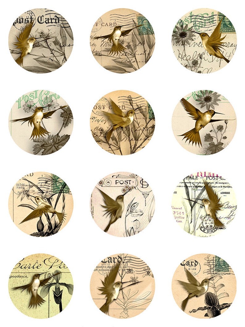 Hummingbirds Vintage Postal Cards Rounds Ovals Instant Download for ...
