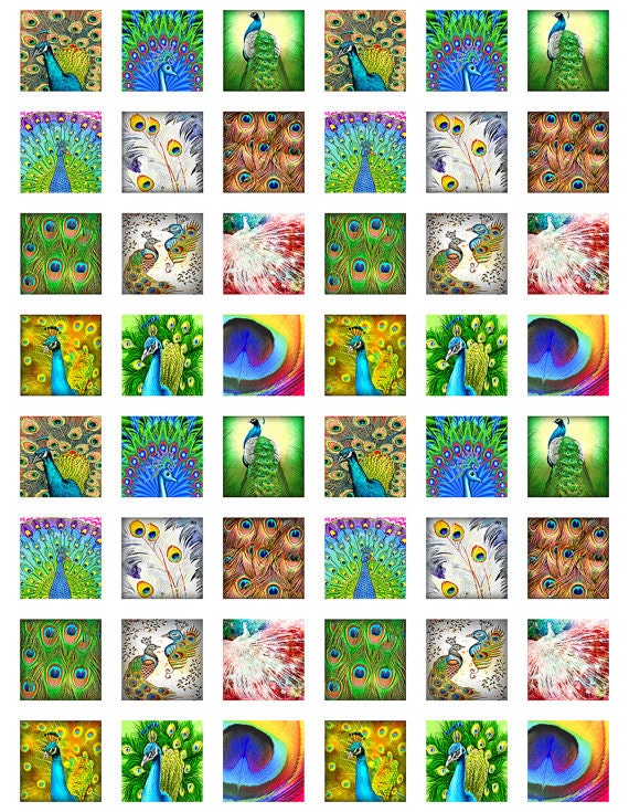 Peacock Square Instant Download 1 and 2 Inch Resin Glass - Etsy