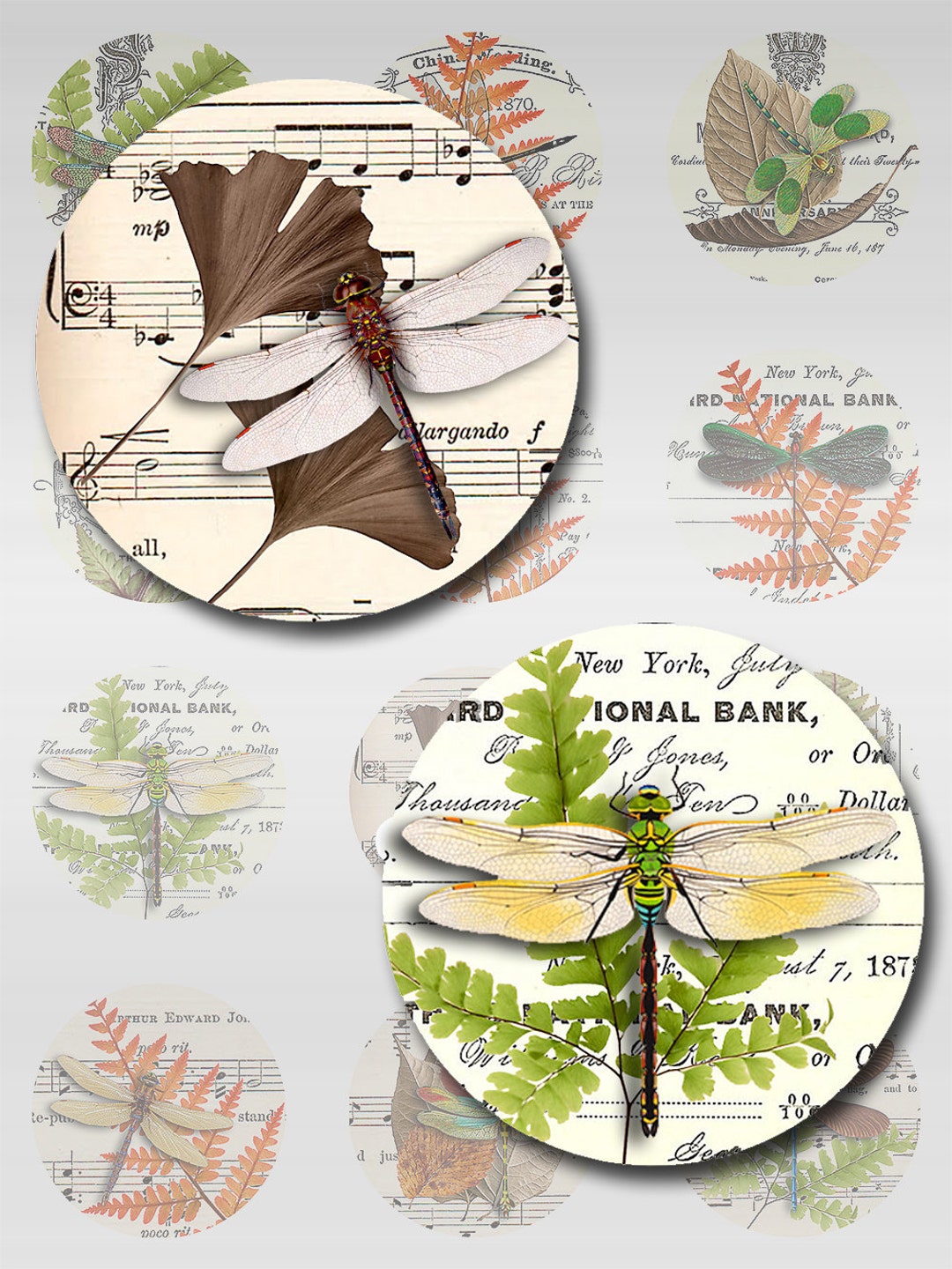 Dragonfly Vintage Ephemera Botanical Instant Download Round - Etsy