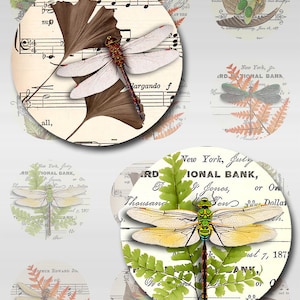Dragonfly Vintage Ephemera Botanical Instant Download Round - Etsy