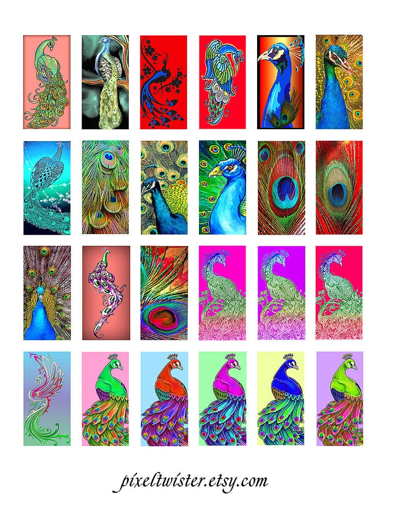 Peacocks Instant Download 1x2 Inch Rectangle Domino Size - Etsy