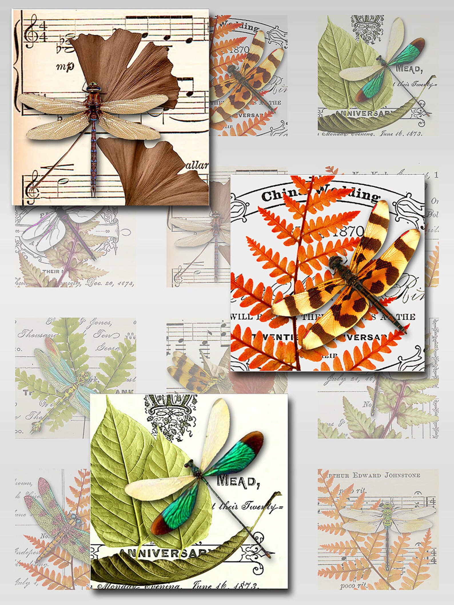 Dragonfly Vintage Ephemera Botanical Instant Download 1 and 2 - Etsy