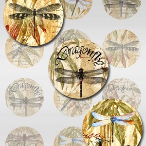 Dragonfly Ephemera Bamboo Instant Download 1 and 2 Inch Round Circle ...