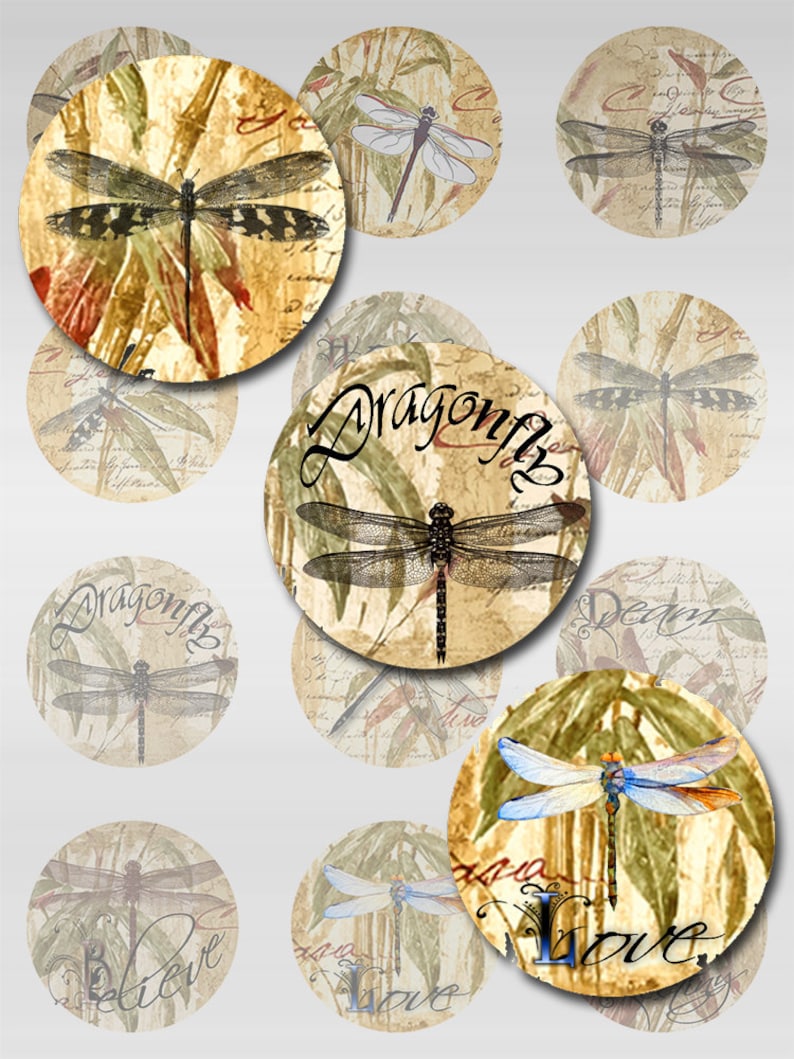 Dragonfly Ephemera Bamboo Instant Download 1 and 2 Inch Round Circle ...
