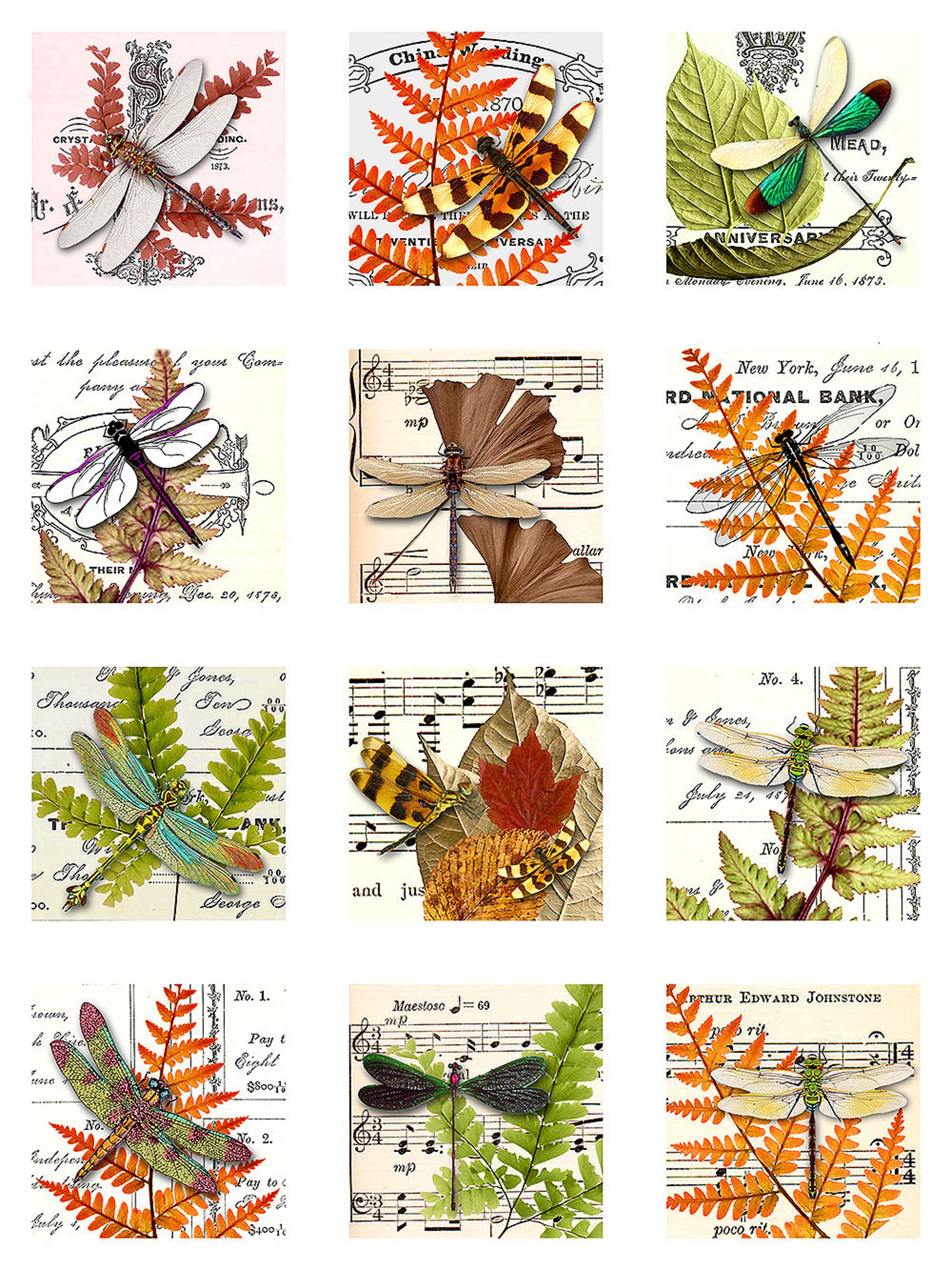 Dragonfly Vintage Ephemera Botanical Instant Download 1 and 2 - Etsy