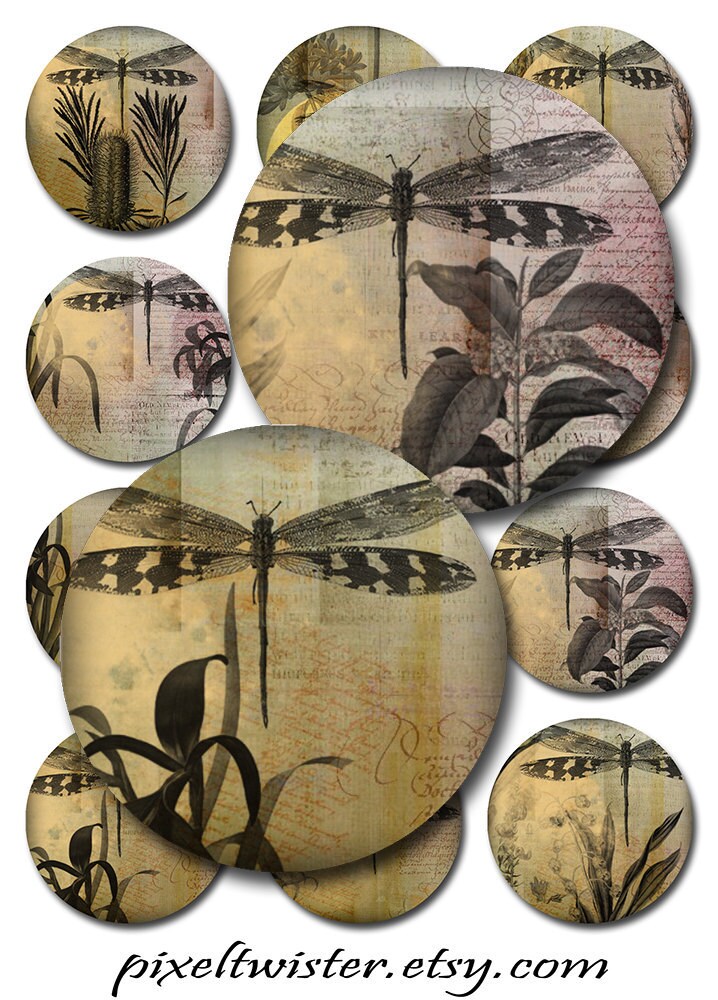 Dragonfly Moon Ephemera Round Circle Instant Download Resin Glass ...