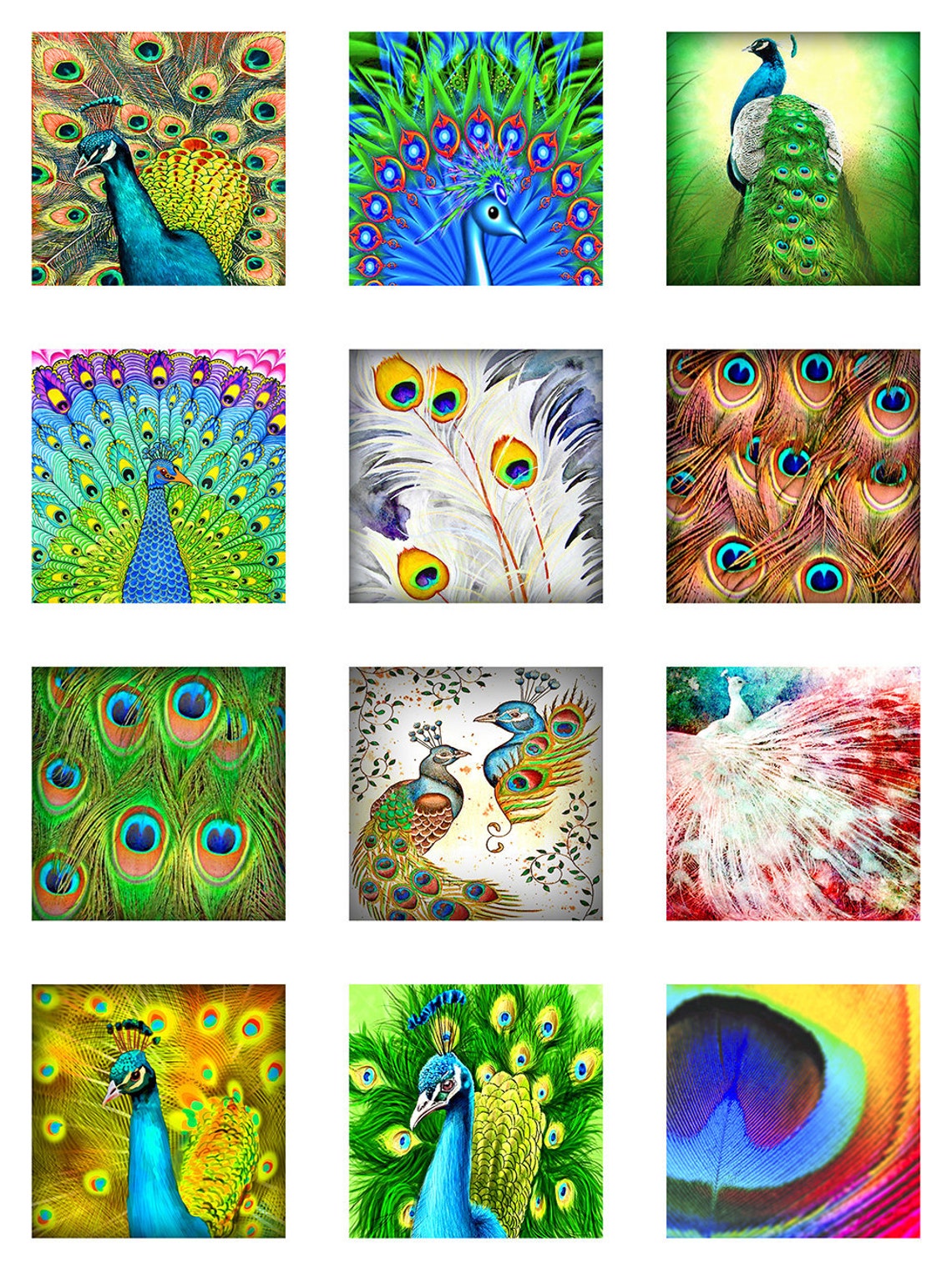 Peacock Square Instant Download 1 and 2 Inch Resin Glass - Etsy