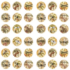 Dragonfly Ephemera Bamboo Instant Download 1 and 2 Inch Round Circle ...