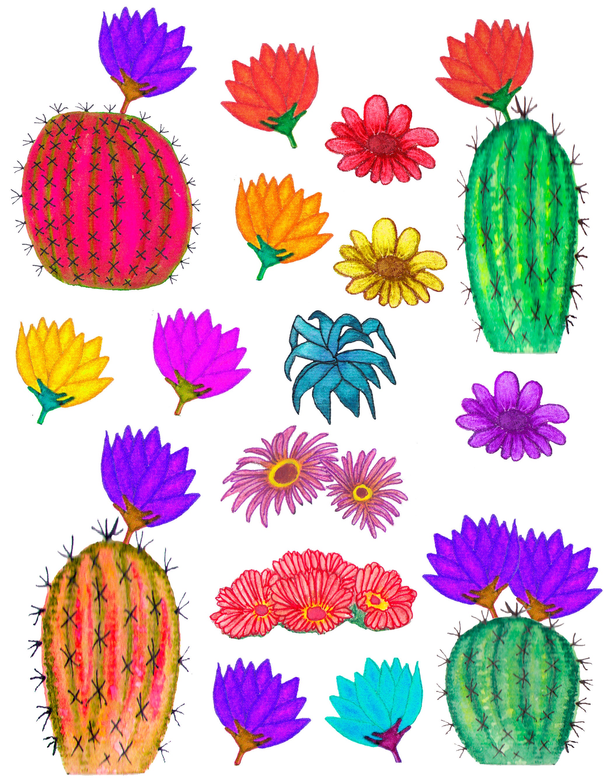Watercolor Cactus Clip Art Hand Painted PNG Digital DIY | Etsy