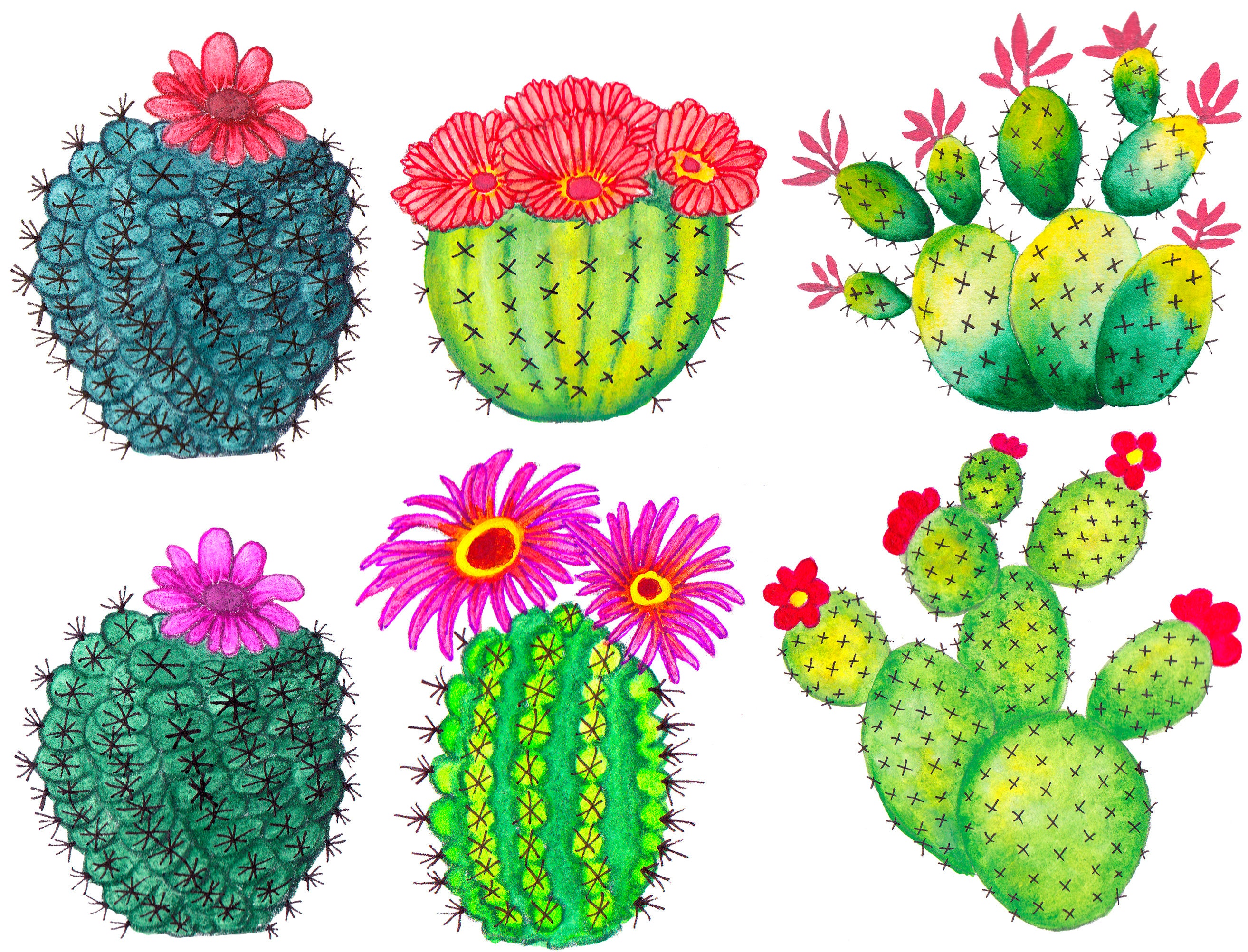Watercolor Cactus Clip Art Hand Painted PNG Digital DIY | Etsy