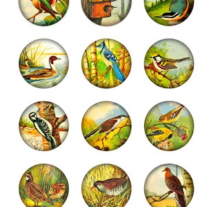 Vintage Birds Round Circles Instant Download 1 and 2 Inch JPEG (12-23 ...
