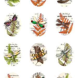 Dragonfly Vintage Ephemera Botanical Instant Download Round - Etsy