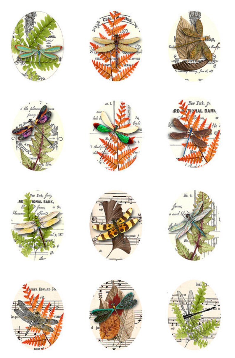 Dragonfly Vintage Ephemera Botanical Instant Download Round 1,2 Inch ...