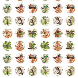 Dragonfly Vintage Ephemera Botanical Instant Download Round 1,2 Inch ...
