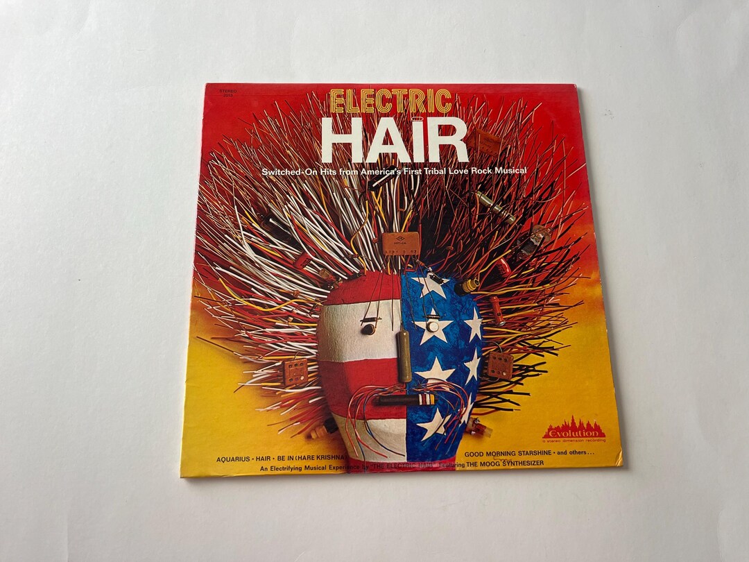 Electric Hair Vinyl Record LP 2013 Evolution Records 1970 Vinyl Records ...