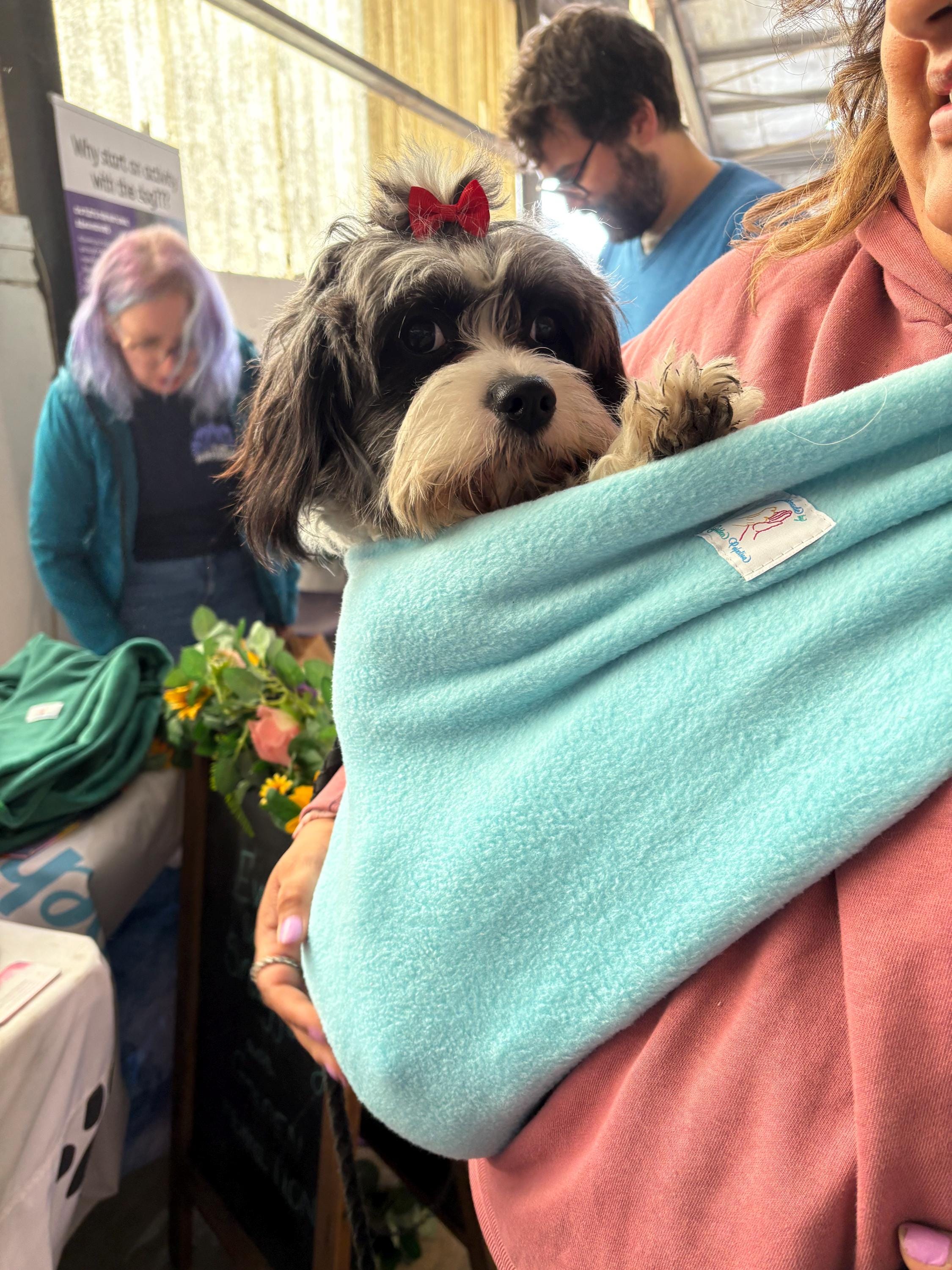 Fleece Pet Sling: Hands-free Dog & Cat Carrier - Handmade - Etsy
