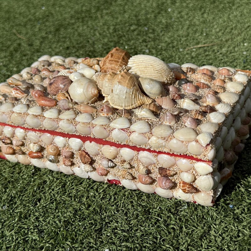 Shell Velvet Box - Etsy