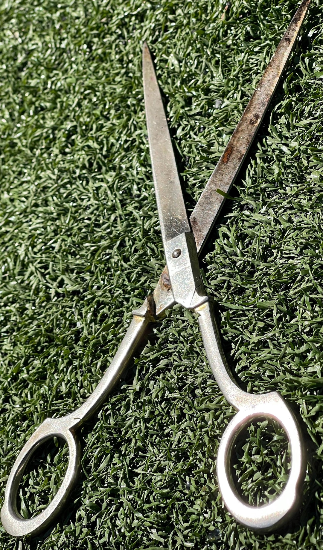 Antique 9” Solingen Germany Shears With Two-bird Mark – Vintage Barber ...