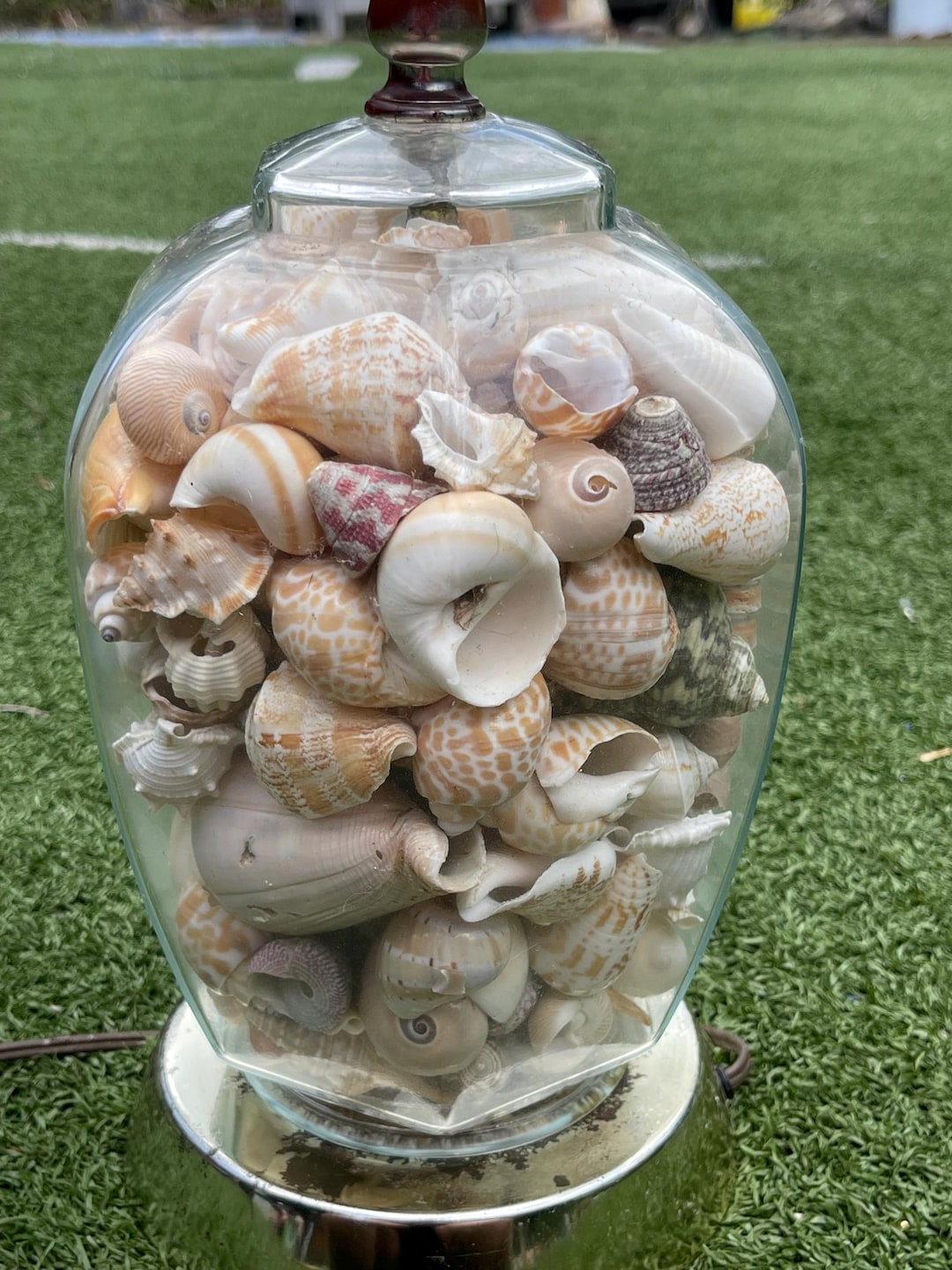 Vintage Shell Lamp – Glass Table Lamp With Real Seashells – Coastal ...