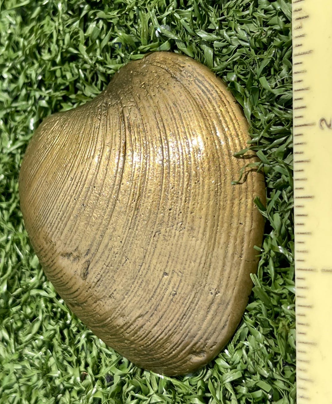 Vintage Solid Brass Seashell Paperweight – 2.75" Clam Shell Coastal ...