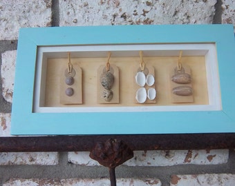 Seashell Shadow Box | Etsy