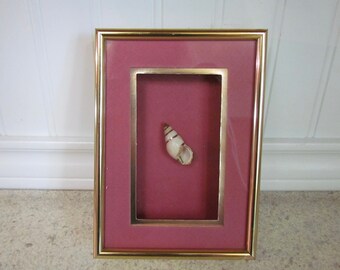 Seashell Shadow Box | Etsy