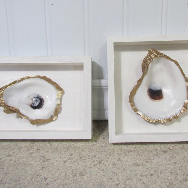 Shell Shadow Box - Etsy