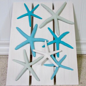 Starfish Wall Hanging, Coastal Decor, Collage - Etsy