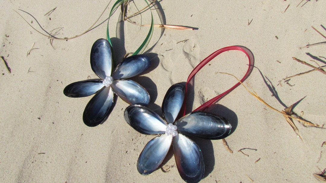 Set of 2 Mussel Shell Christmas Ornaments - Etsy