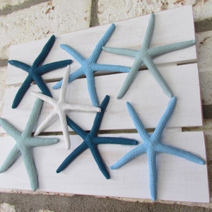 Starfish Wall Hanging, Coastal Decor, Collage - Etsy