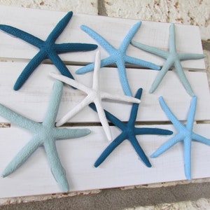 Starfish Wall Hanging, Coastal Decor, Collage - Etsy