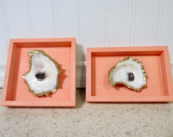 Decoupage Oyster in Shadow Box - Etsy