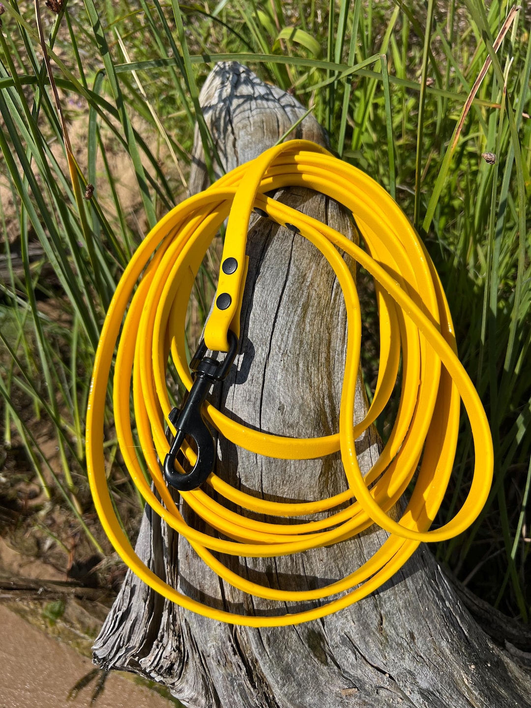 Waterproof Biothane Dog Long Line With Handle – Heavy Duty Training ...
