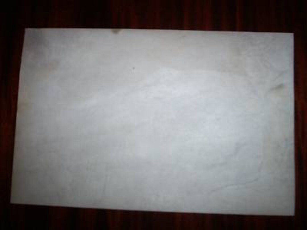 Real Medievally Made Parchment/vellum/pergamenum Made From Sheep/goat ...