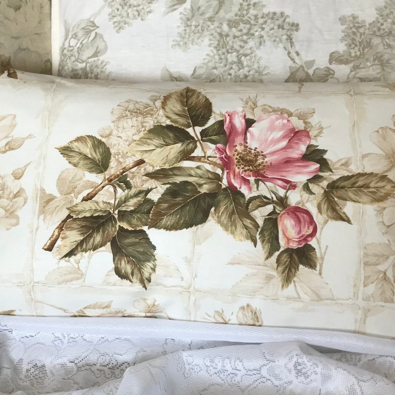 Pink Cabbage Rose - Etsy