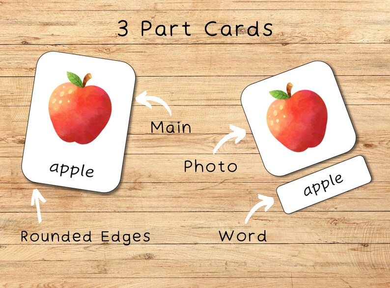 Fruit Flashcards, Nomenclature Cards, Montessori Cards, Education ...