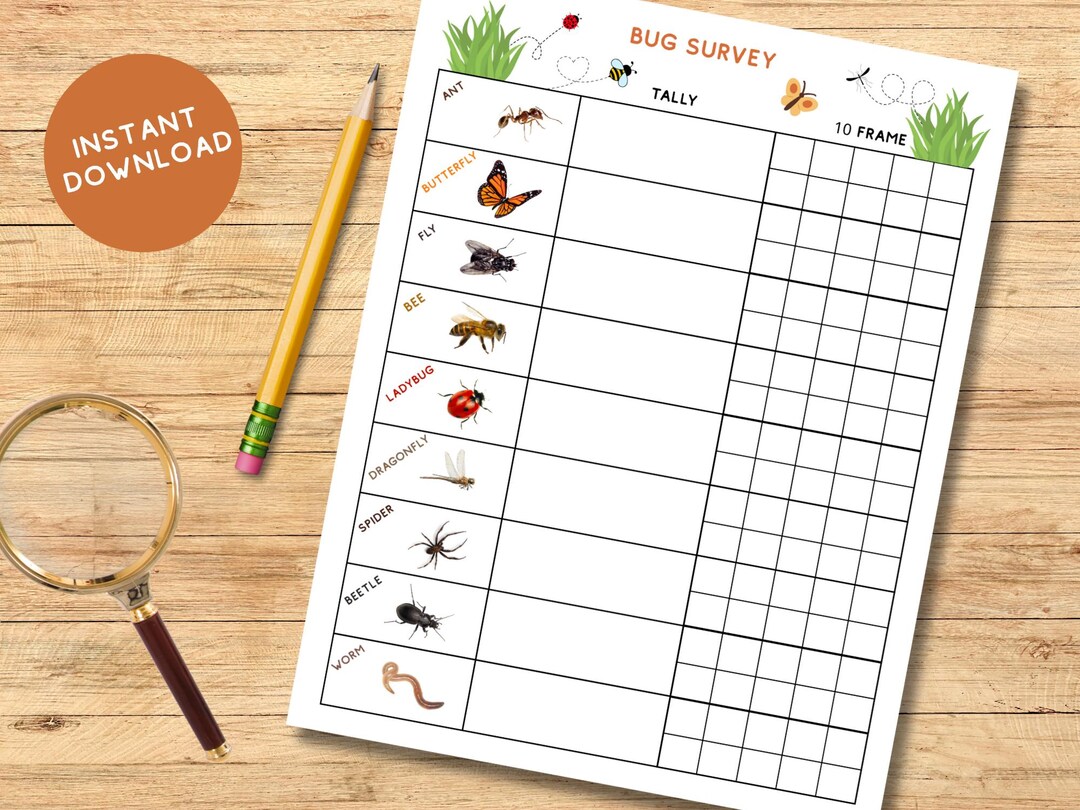 Bug Survey, Insect Scavenger Hunt, Printable Nature Activity, Preschool ...