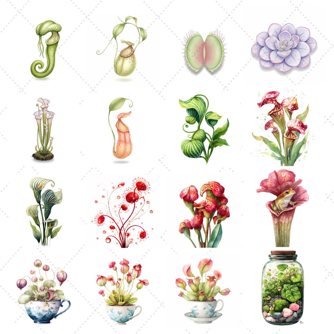 Carnivorous Plant Watercolor Clipart Bundle - Venus Fly Traps, Pitcher ...