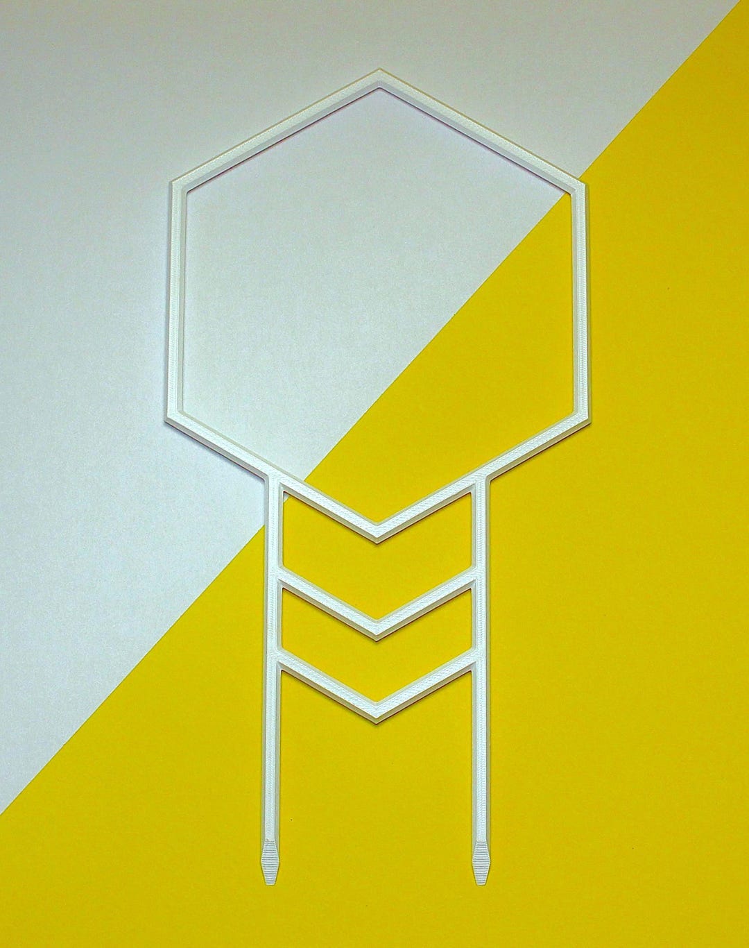 The Hex Trellis | Modern Hexagon Plant Trellis for Indoor Climbing ...