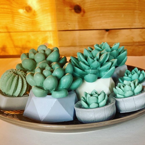 Succulent Soap - Etsy
