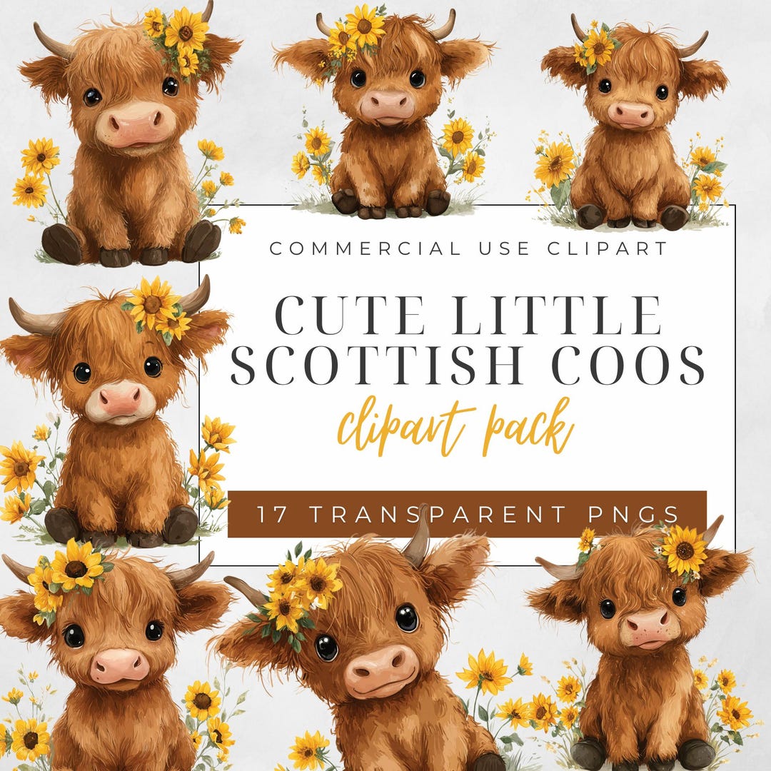 Cute Highland Cow PNG Clipart | 17 Transparent PNG | Scottish Coo ...